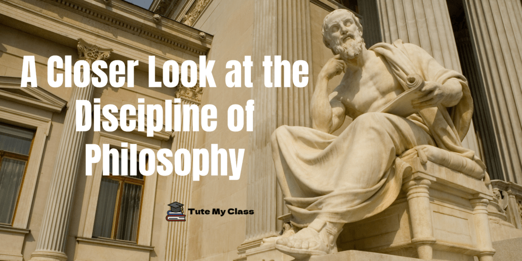 Philosophy: Different Branches and Courses to Pursue